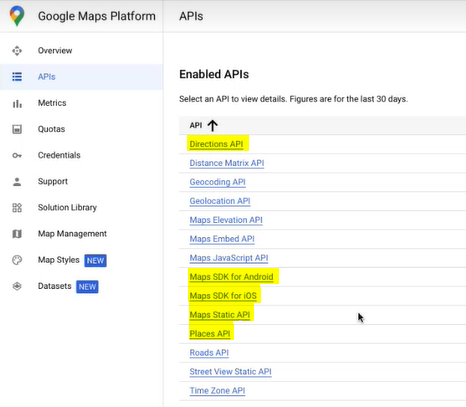 Google Maps API Key Configuration