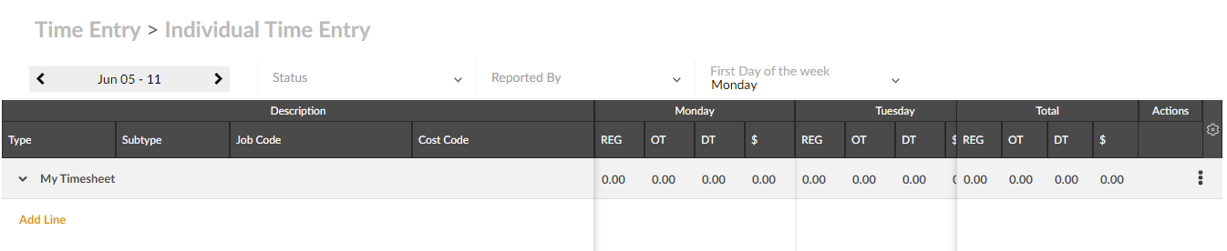 Individual Time Entry